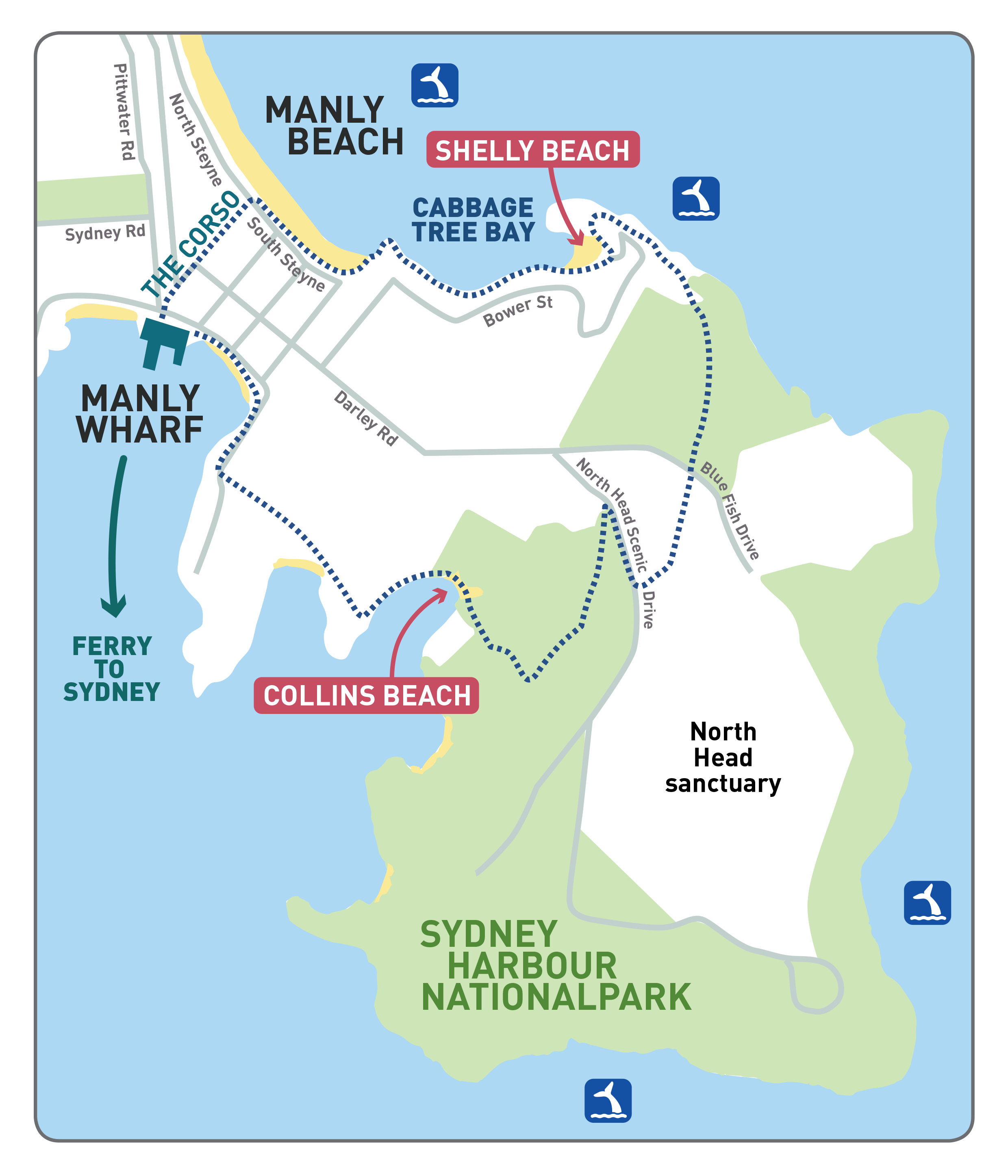 Manly Coastal Walking Tour - ECOTREASURES Sydney